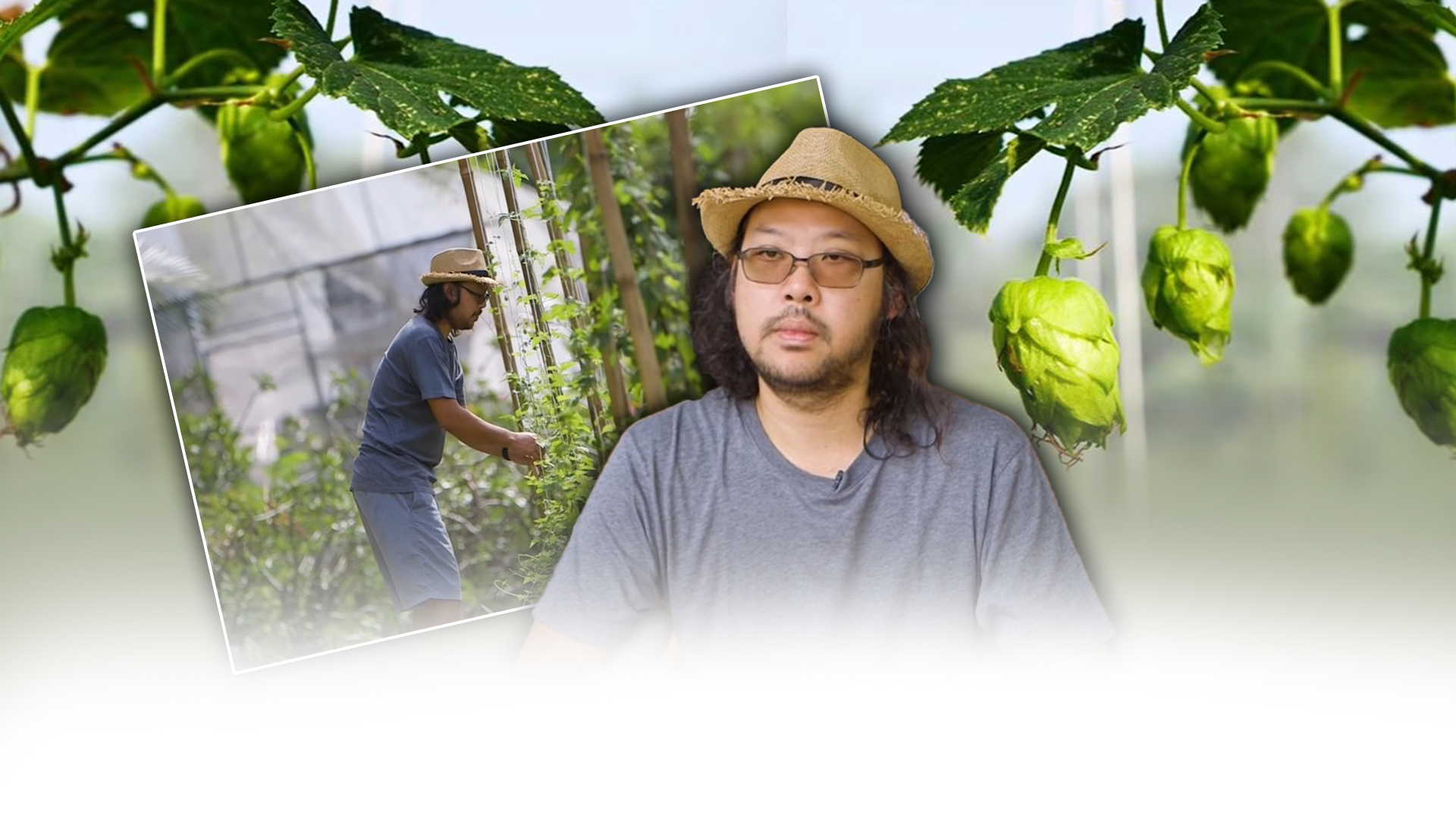 "Deva Farm" ท้าทายอากาศและความเชื่อ ปลูกฮอปส์พืชเมืองหนาวเป็นพืชเมือง ...